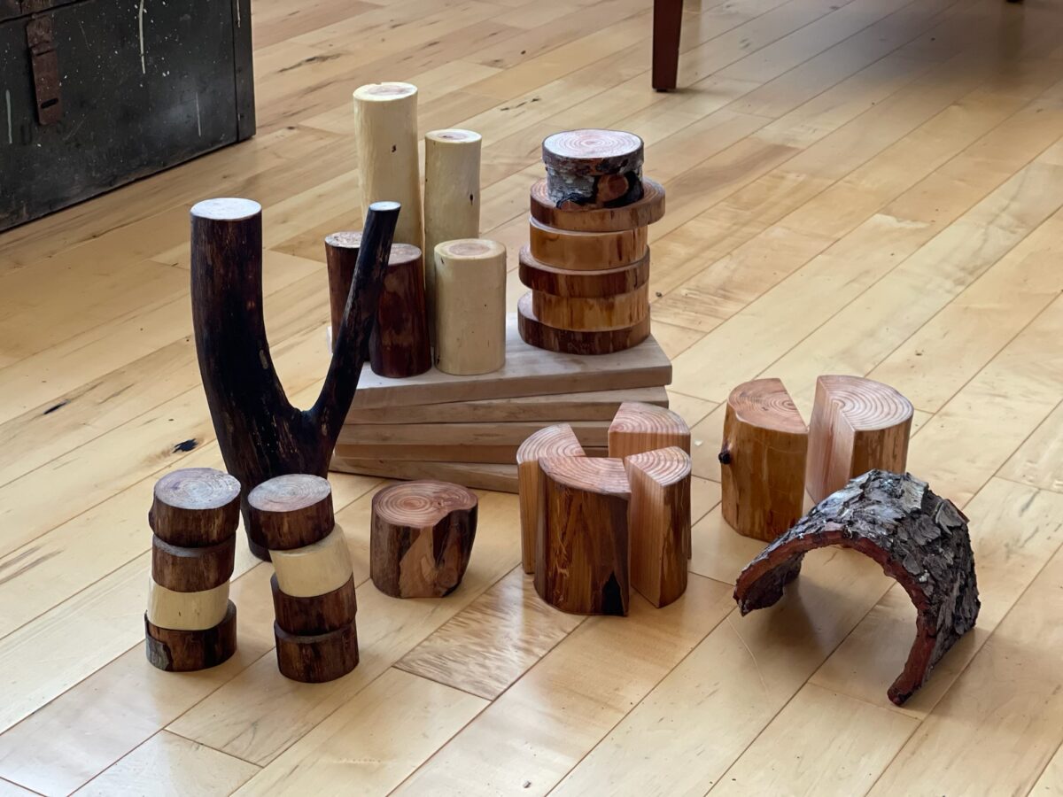 Nature Blocks – Academy in the Wild